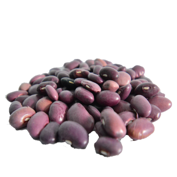 Ayocote morado - La Herradura