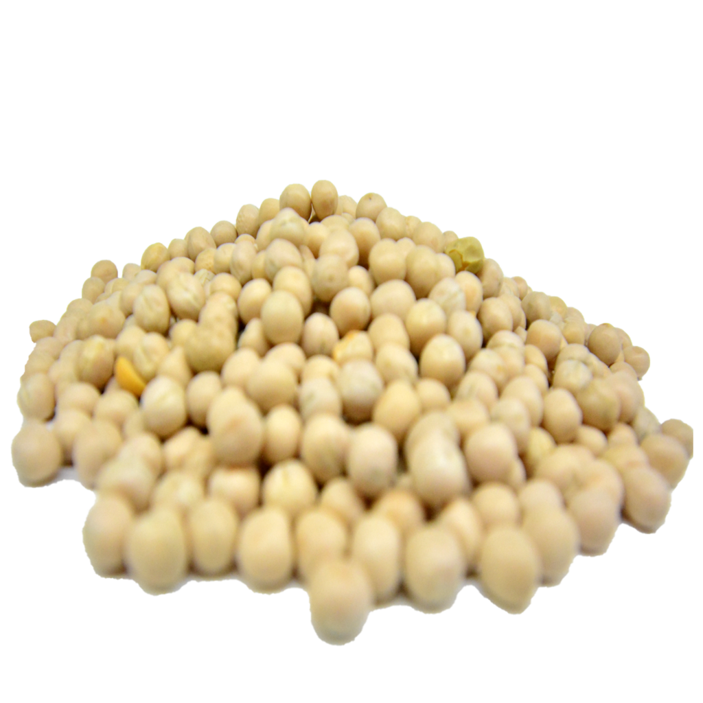 Alverjón grande - La Herradura