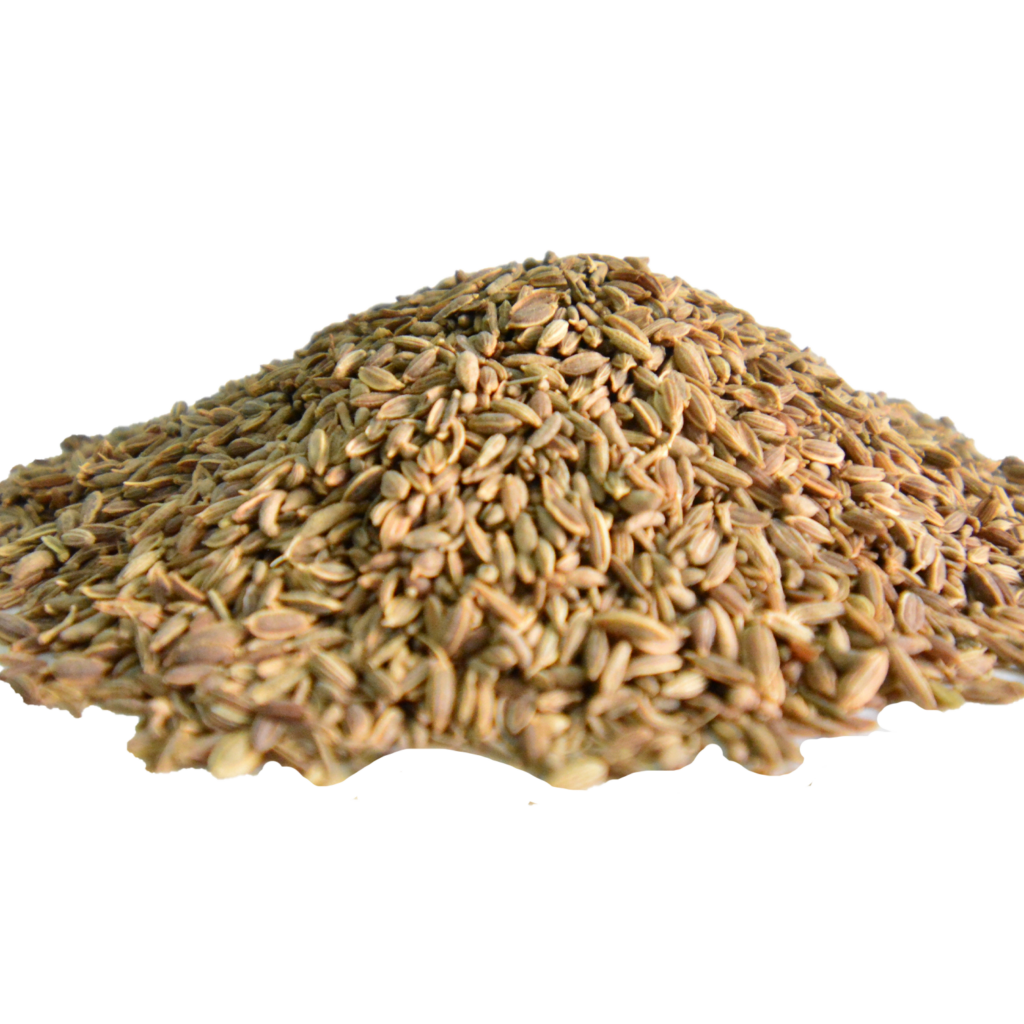 Comino entero - La Herradura