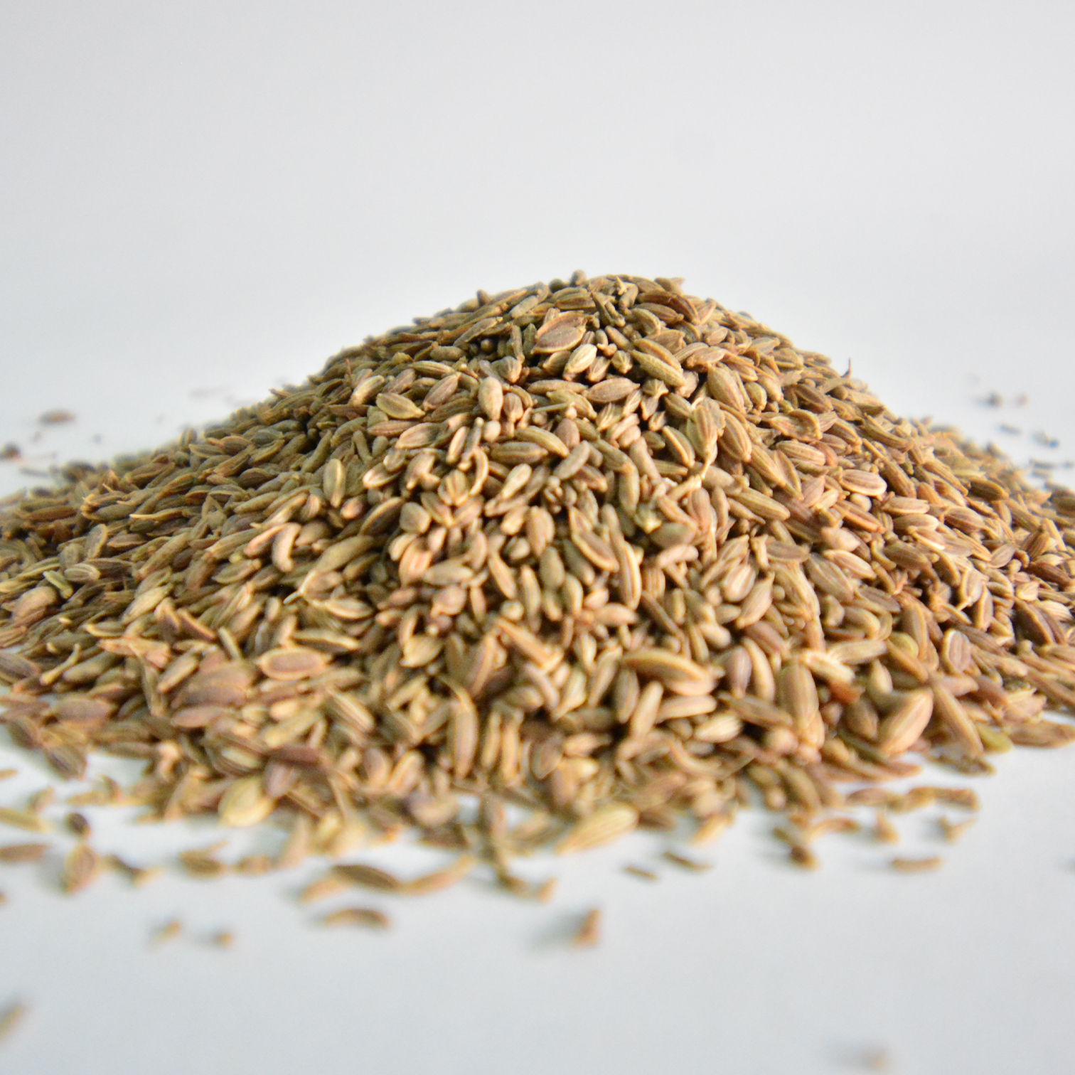 Comino entero - La Herradura